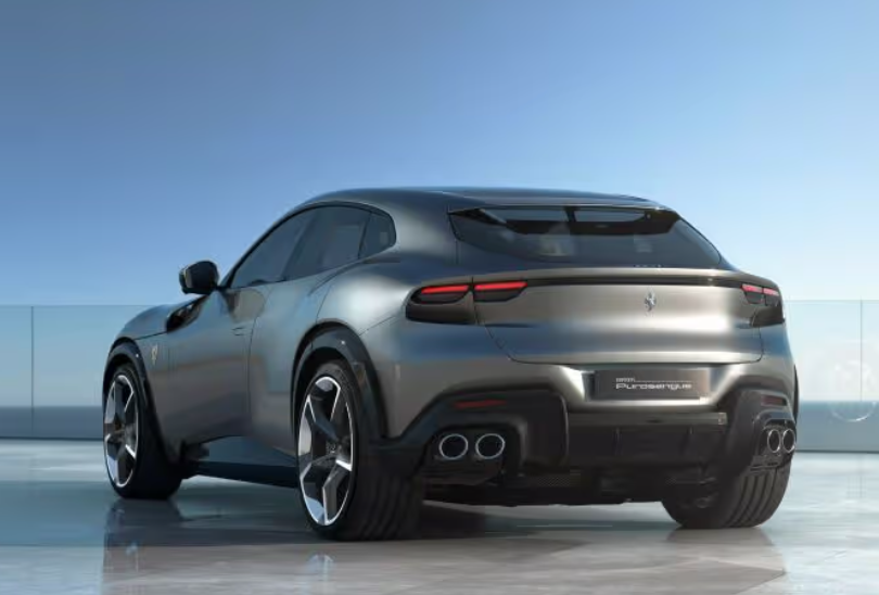 Purosangue - CUSTOM CONCEPTS